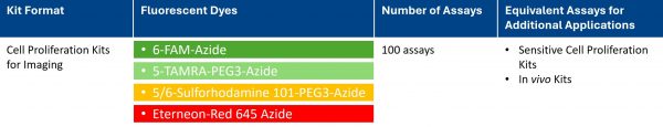 EdU Cell Proliferation Assay for Imaging