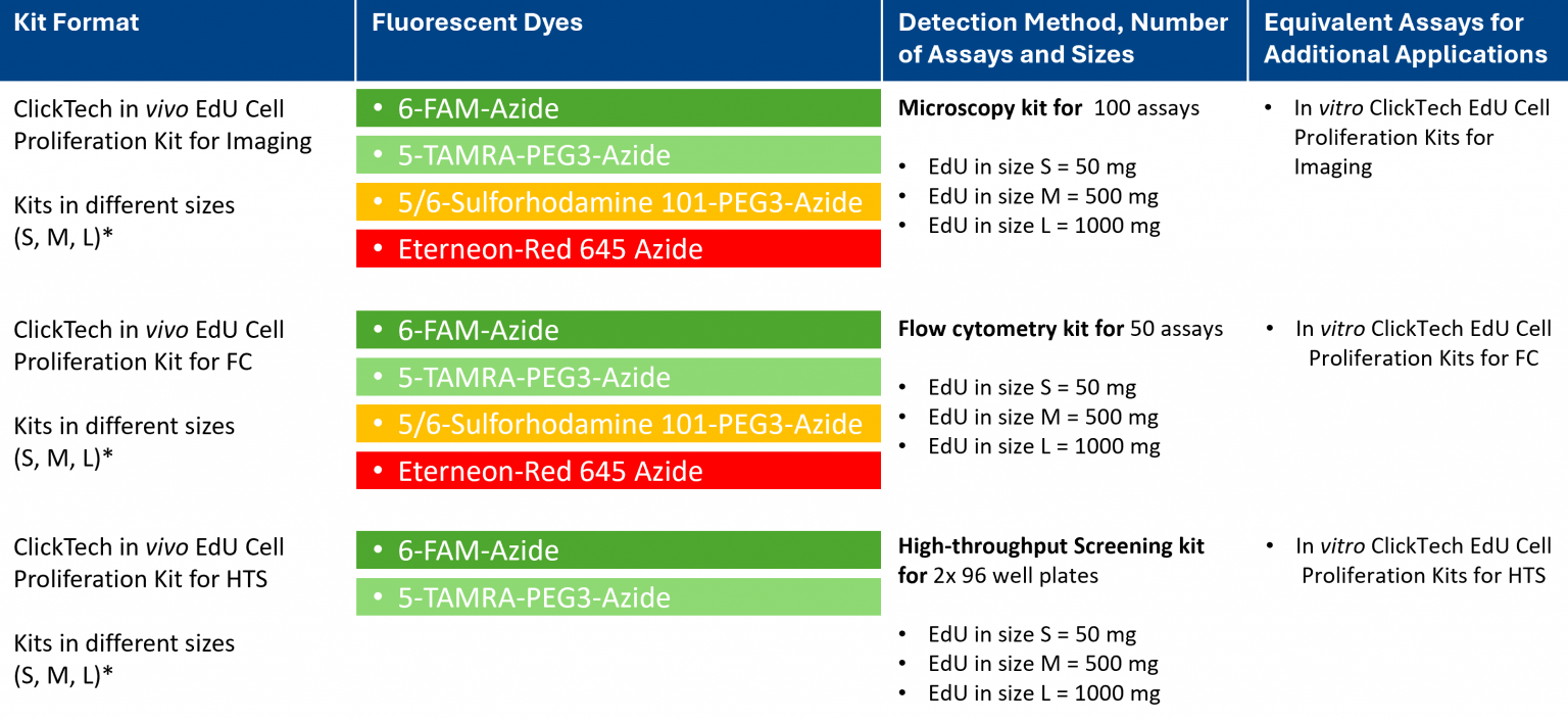 In Vivo EdU Cell Proliferation Assay for Imaging