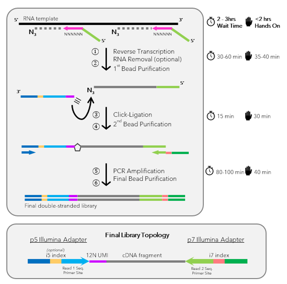 Next Generation Sequencing NGS RNA Library Prep Kit Next Generation Sequencing NGS RNA Library Prep Kit