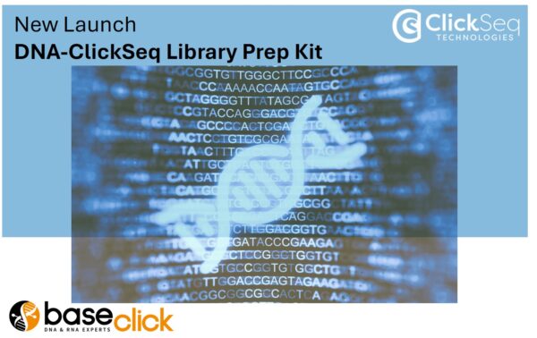 DNA and RNA Experts in Biotech Innovation | baseclick