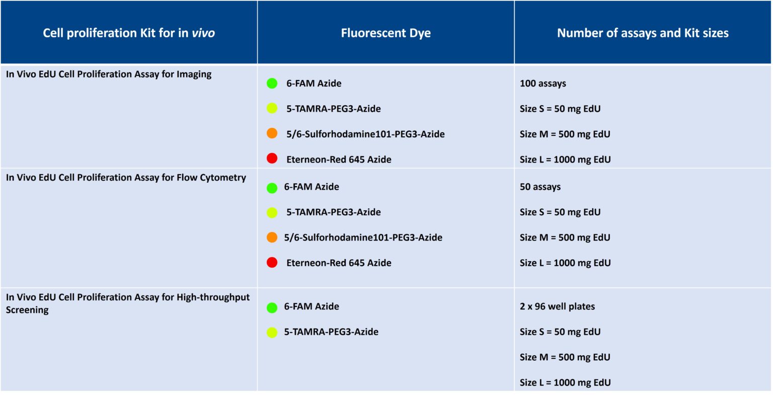 In Vivo EdU Cell Proliferation Assay for Imaging