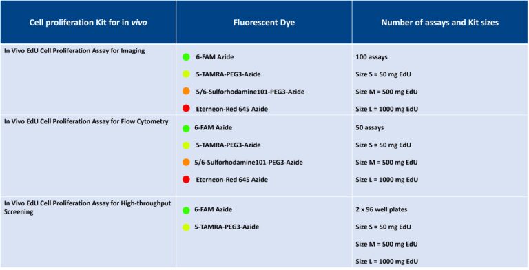 In Vivo EdU Cell Proliferation Assay for Imaging