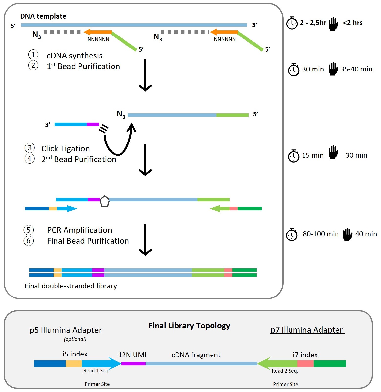NGS DNA Library Prep Kit with dual indexing