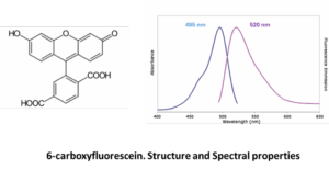 FAM dye: Properties, uses & applications