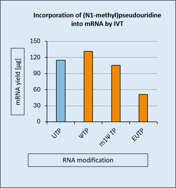 baseScribe IVT RNA Synthesis Kit for mRNA production